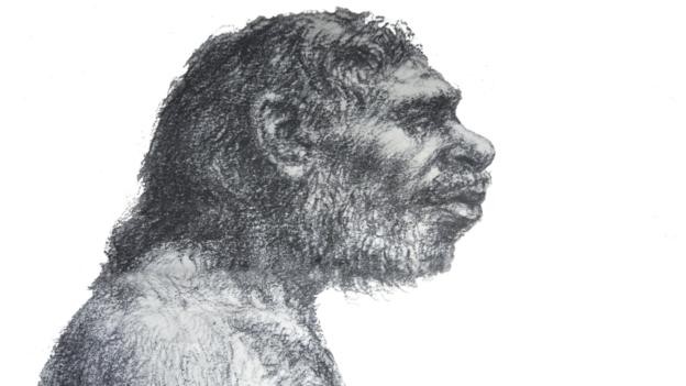 Dünyadaki Tek İnsan Türü Olmamızın Nedeni - Arkeofili