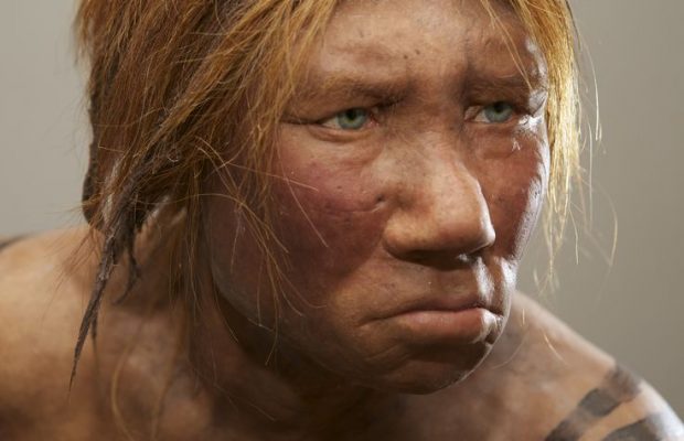 Neandertaller Dış Etkilerden Bağımsız Strateji Değiştirebiliyordu ...