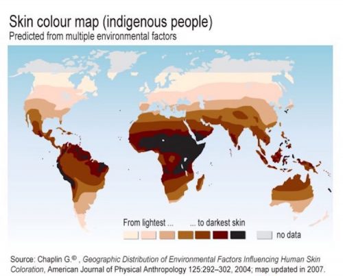 Ten Rengimiz Neden Koyu ve Açık Olarak Evrimleşti? - Arkeofili