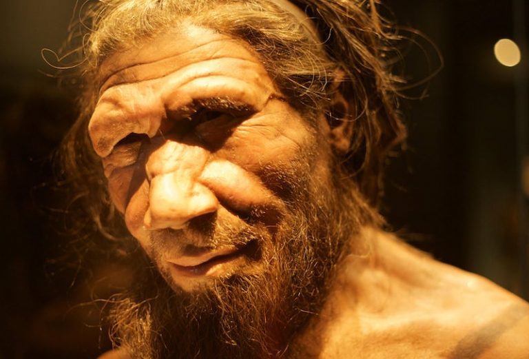 Neandertaller Köpekbalığı ve Yunus Yiyordu - Arkeofili