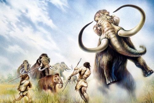 Neandertaller, Bizim Gibi Çoğunlukla Sağlaktı - Arkeofili