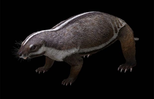 Adalatherium hui Arşivleri - Arkeofili