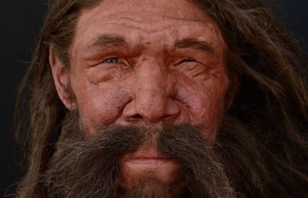 İnsan ile Neandertal Farkı, Ayılar Arasındakinden Daha Az - Arkeofili