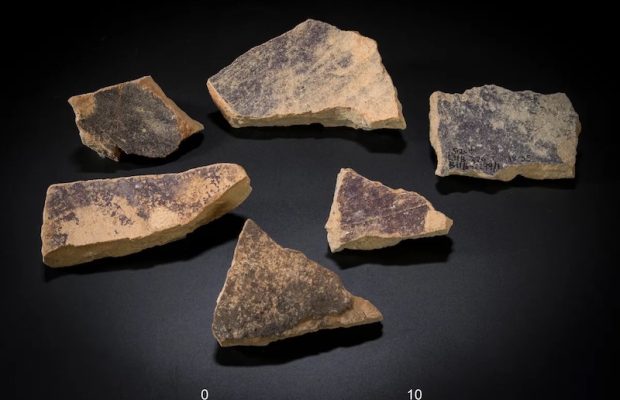 Bu Atölye 500 Yıl Salyangozlardan Mor Boya Üretmiş - Arkeofili