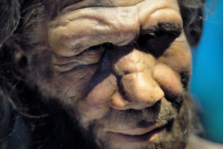 Neandertaller Ne Kadar Yaşıyordu? - Arkeofili