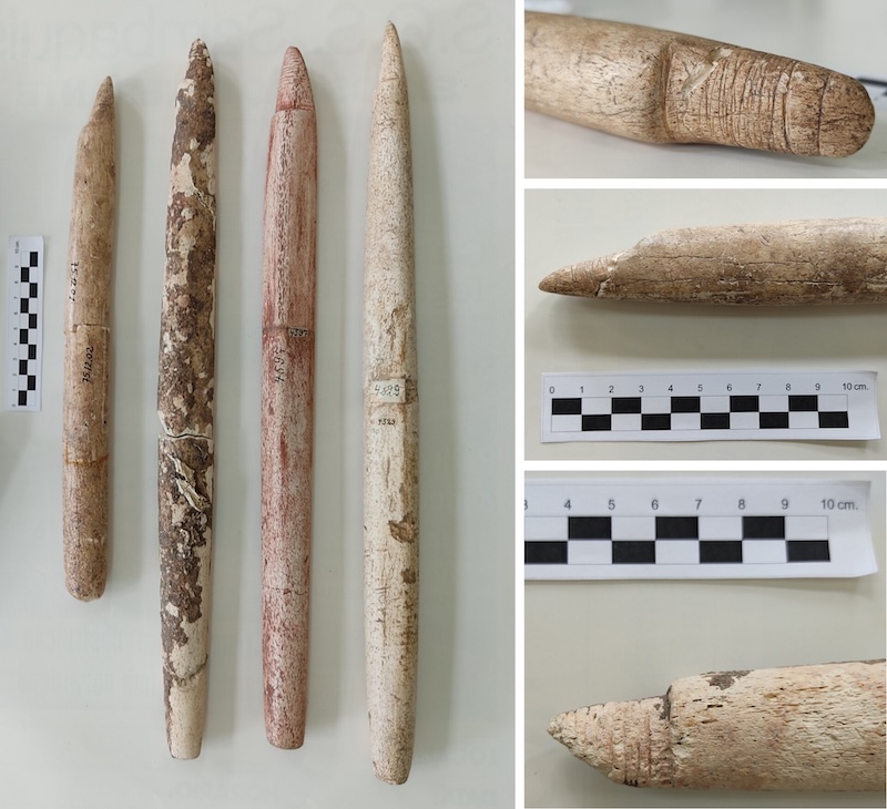 İnsanlar 5.000 Yıl Önce Bile Zıpkınlarla Balina Avlıyordu - Arkeofili